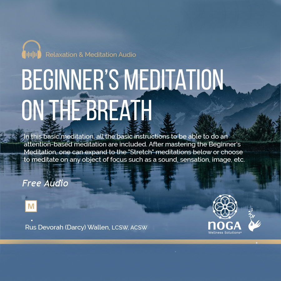 Adding Time To Your Day? - Toratherapeutics®