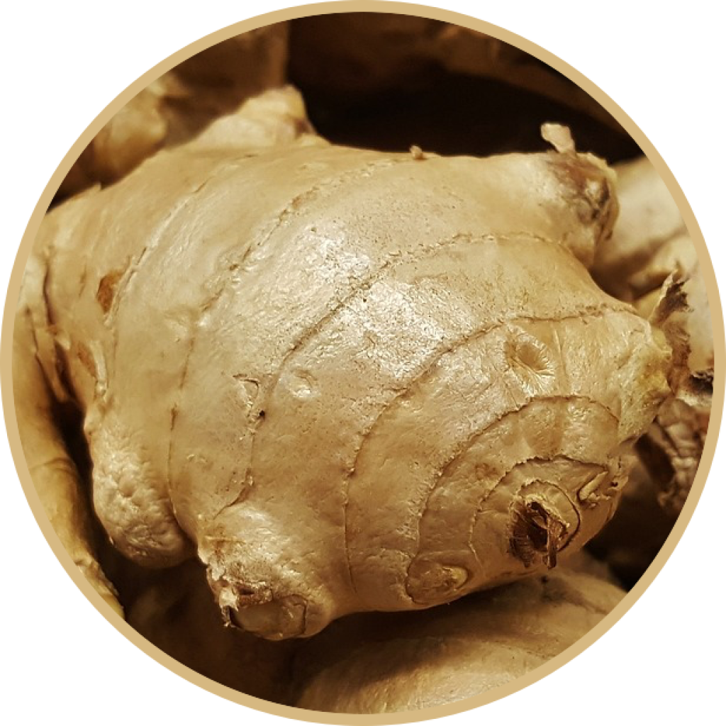 NOGA® Aromatherapeutics™