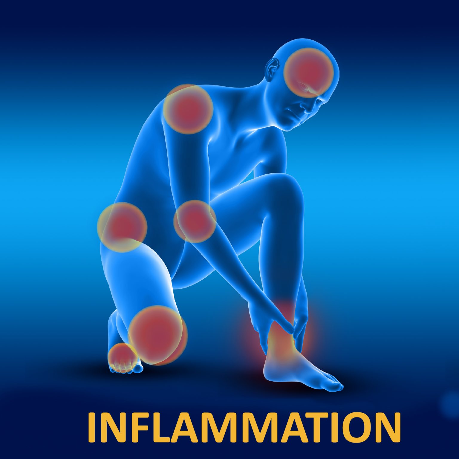 More Information on Inflammation - Toratherapeutics®