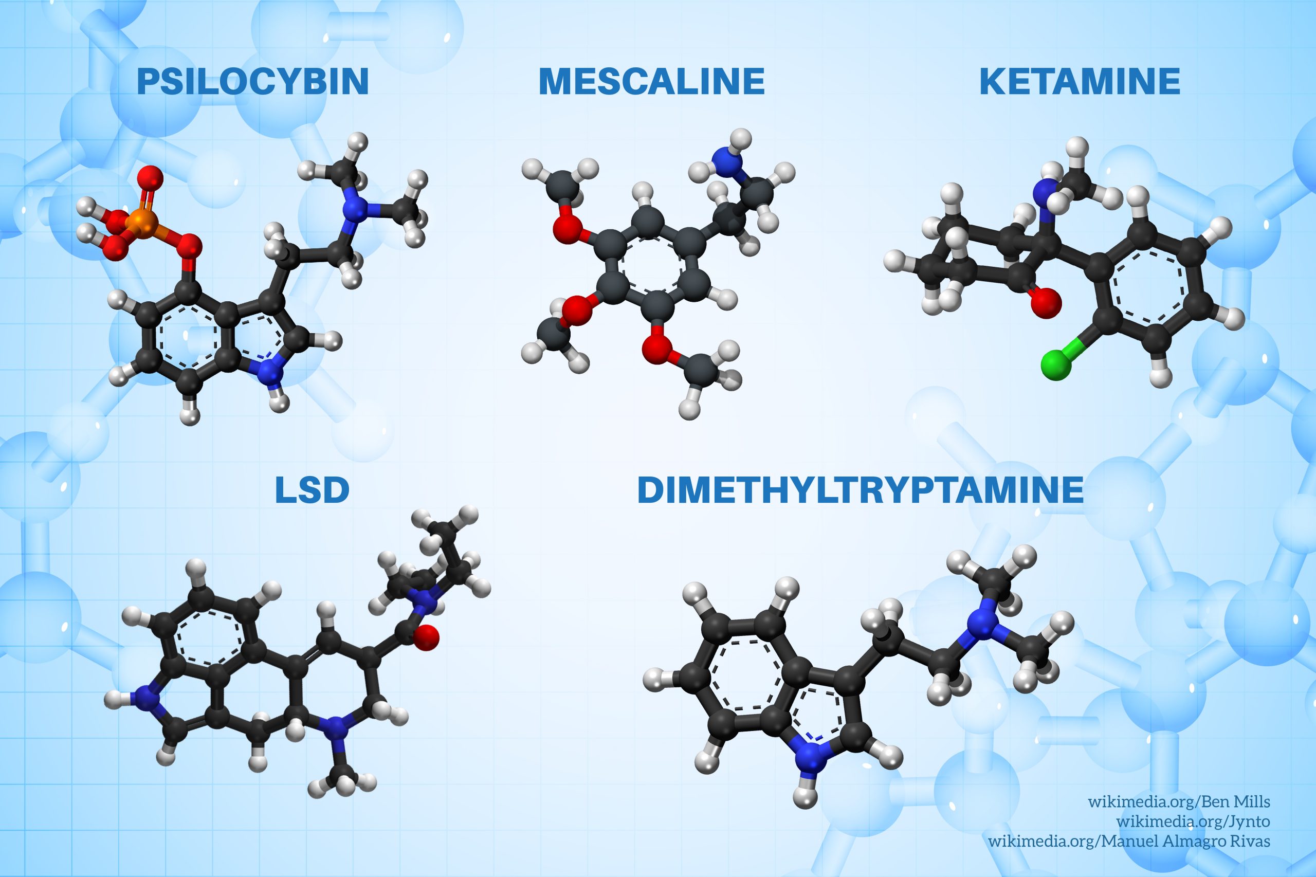 Plant Medicine and Healing Ceremonies: The Promise, Perils & Pitfalls - Toratherapeutics®