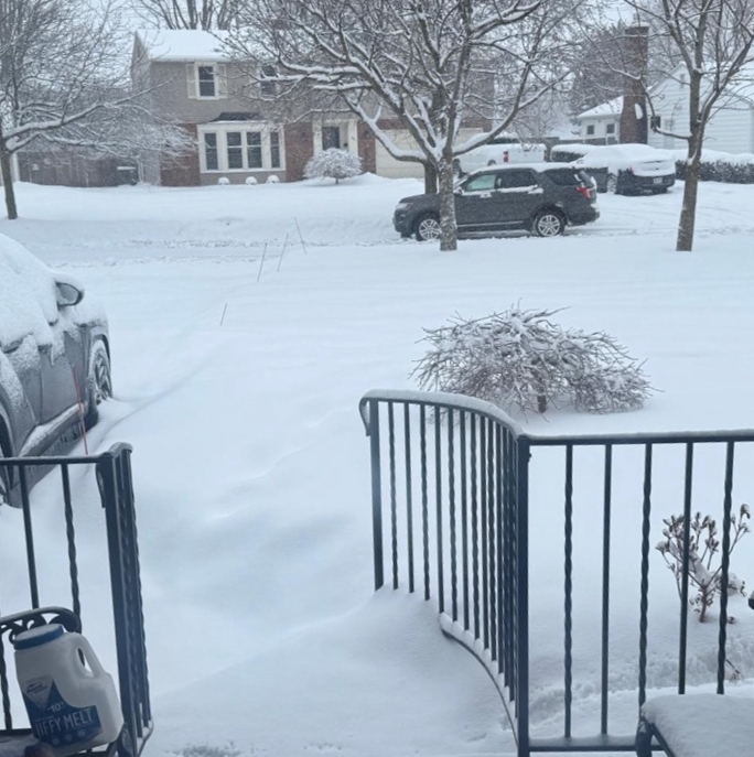 Frozen, Fierce, and Fearless - Buffalo’s Winter of Resilience and ...